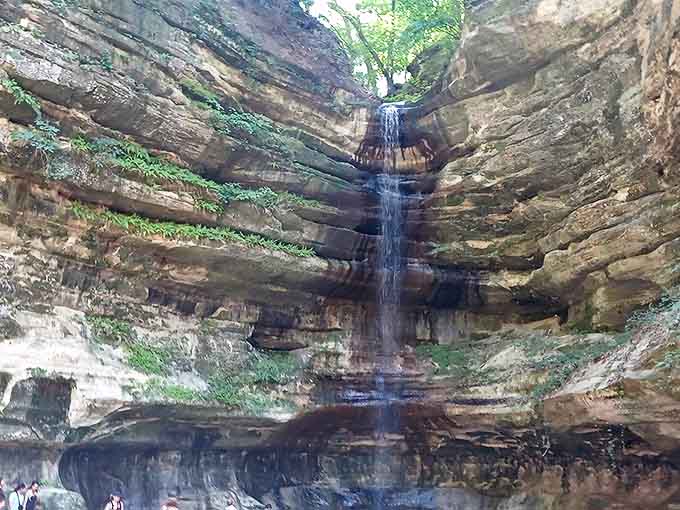 The waterfall's full glory reveals itself in this wide view, cascading down with the confidence of a natural wonder.