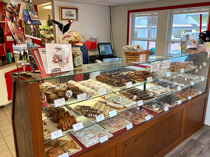 Behind that counter, magic happens daily as fresh donuts emerge to brighten the mornings of lucky customers.
