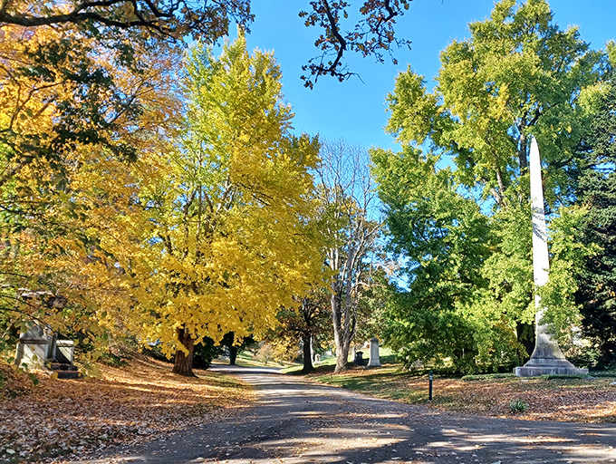 Fall transforms Spring Grove into a painter's palette, where golden trees frame historic monuments in warm autumn light.