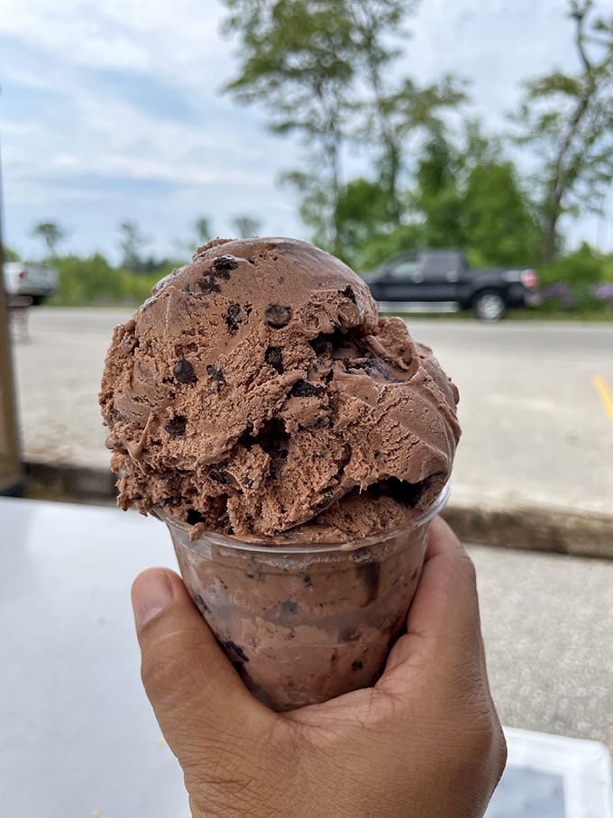 Chocolate chip ice cream that doesn't skimp on the chips – each bite delivers the perfect ratio of creamy base to chocolate chunks, like edible harmony.
