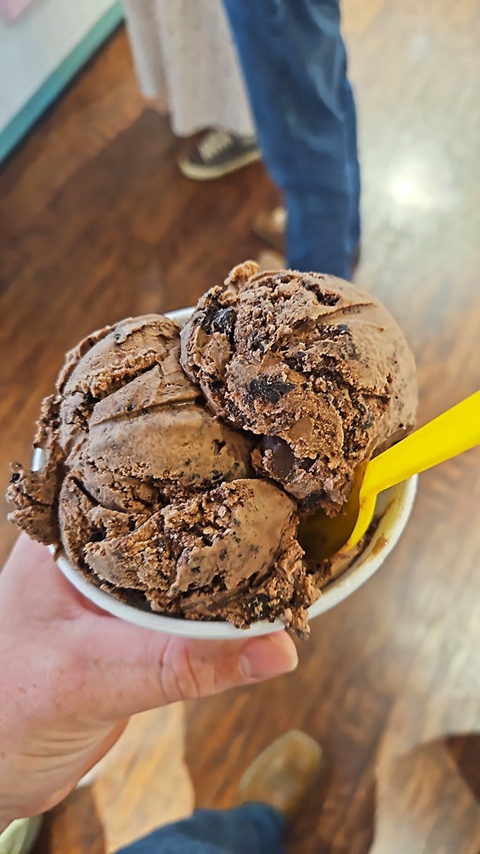 Chocolate ice cream so rich and decadent it should come with its own warning label: "May cause involuntary sighs of contentment."