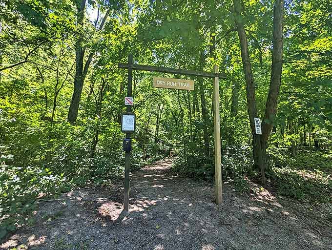 Dry Run Trail: ironically one of the most refreshing paths in the forest, where stress evaporates faster than morning dew.