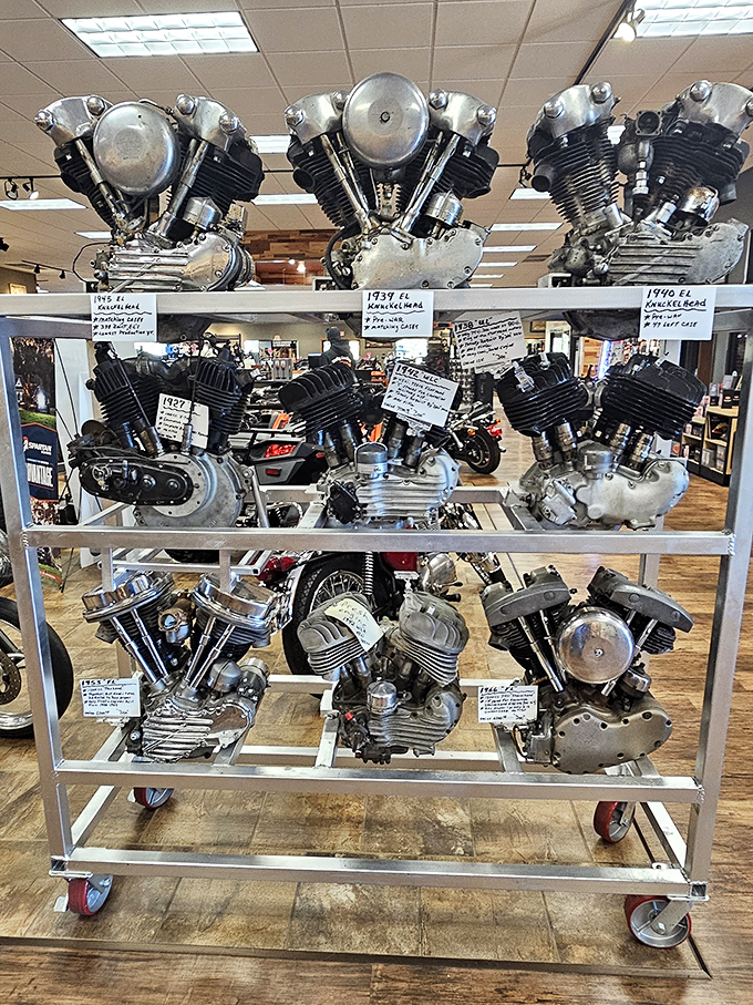 Engine evolution on display &ndash; from Knuckleheads to Panheads, this collection shows how American motorcycle power transformed over decades.