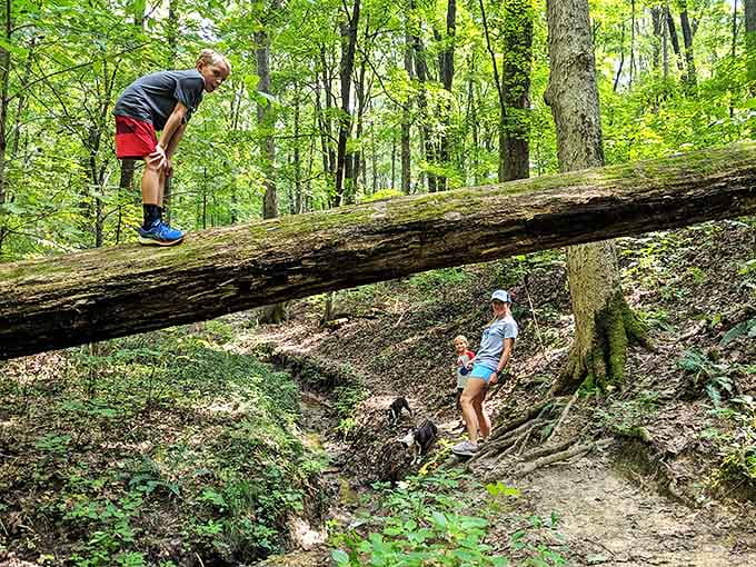 Nature's playground where fallen logs become balance beams and every trail holds the promise of mini-adventures.