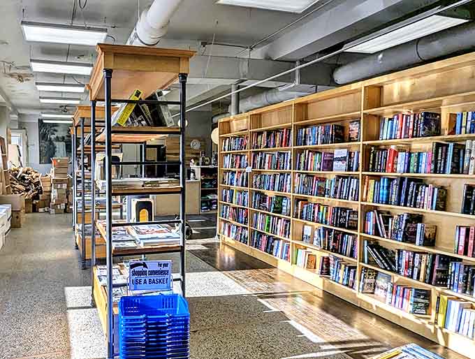 Sunlight bathes the interior in a warm glow, highlighting the organized chaos that makes every visit a treasure hunt.