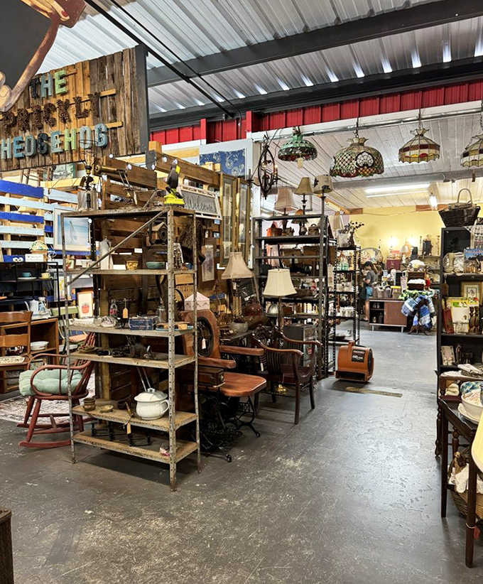 The warm wood tones and careful arrangement of this display space invite you to imagine these pieces in your own home, creating new stories.