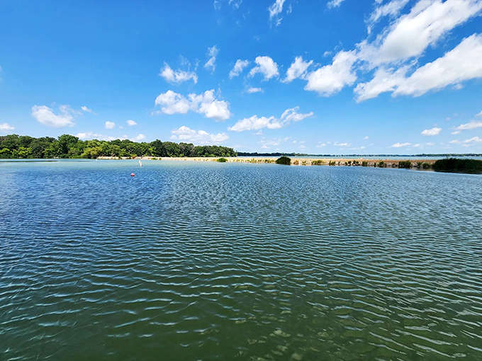 Lake Shetek's waters ripple with possibilities &ndash; fishing, swimming, or simply gazing across its expansive blue canvas.