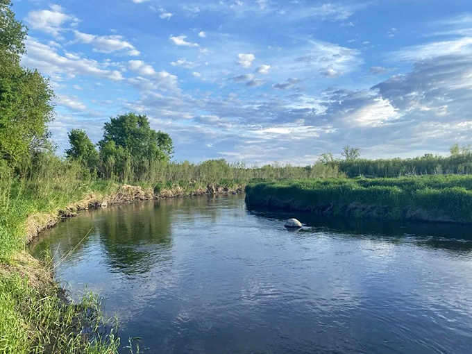 Nature's own meditation app: the gentle flow of this creek provides a soundtrack no Spotify playlist could ever match.
