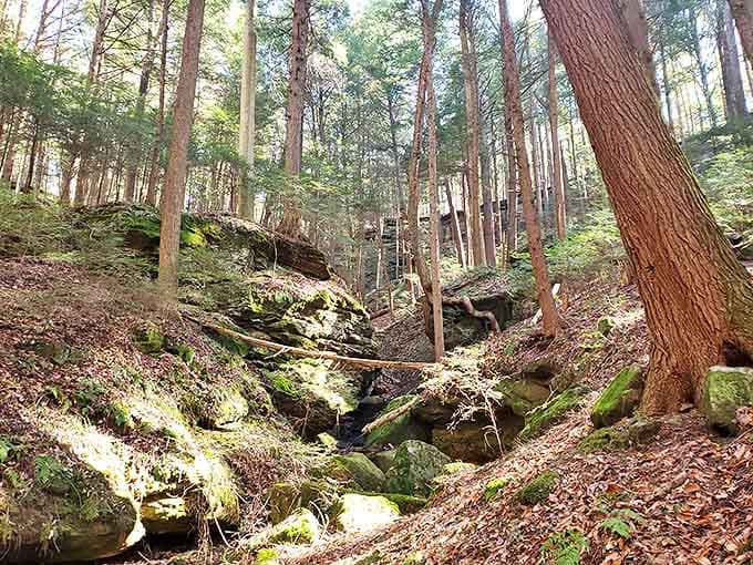 Nature's sculpture garden emerges where water meets stone, creating these moss-draped rock formations that seem almost deliberately arranged.