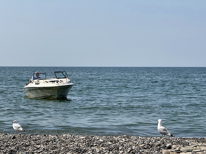 Weekend captains navigate the gentle waters near shore, where Lake Erie offers perfect conditions for recreational boating.