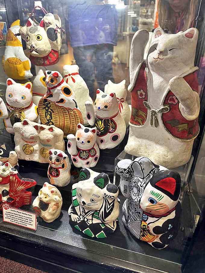 Traditional meets whimsical in this display case featuring cats with distinctive personalities and artistic styles.