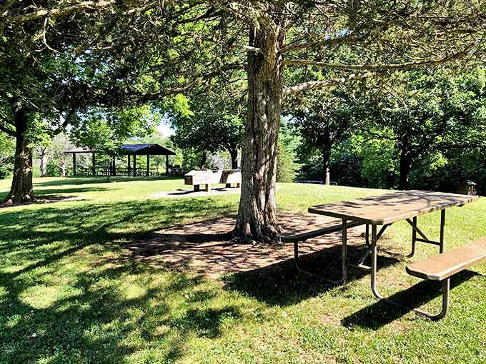 Picnic tables scattered beneath towering trees offer dining with a view that puts five-star restaurants to shame.