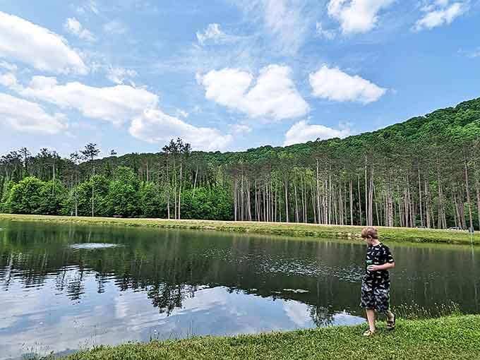 A peaceful fishing pond reflects the surrounding forest like nature's mirror, promising both solitude and the possibility of catching dinner.