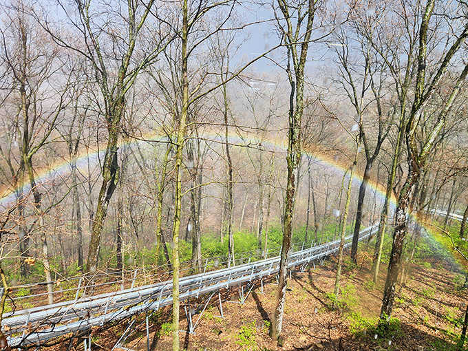 Nature's own light show creates a magical backdrop, with a rainbow arching over the track like a celestial seal of approval.