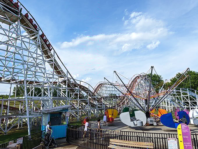 Families line up eagerly for rides, their anticipation as palpable as the Ohio sunshine warming the midway's well-worn paths.