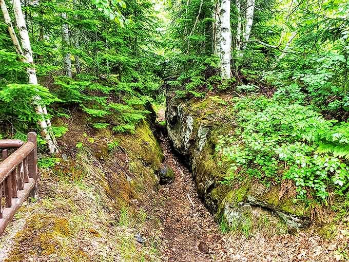 Nature's own mining operation, this natural split in bedrock reveals geological forces that created the copper deposits miners sought.