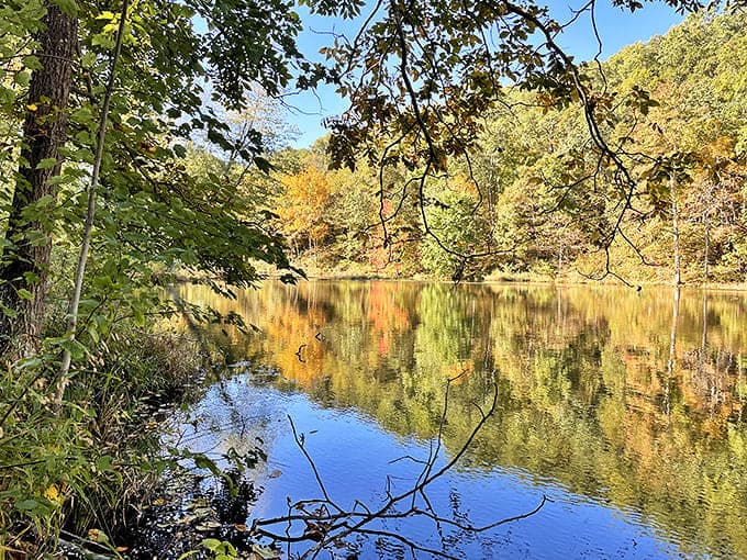 Autumn colors reflect perfectly in the still waters of Pounds Hollow Lake, doubling the visual feast for lucky visitors.