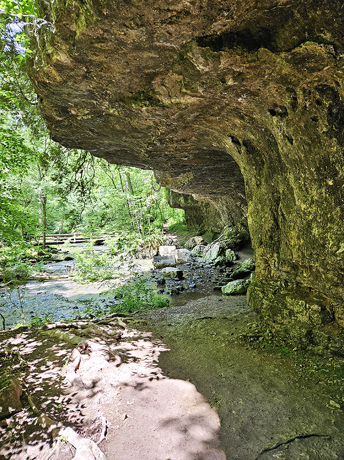 These towering rock walls have been perfecting their imposing presence for millions of years &ndash; talk about commitment to a look!