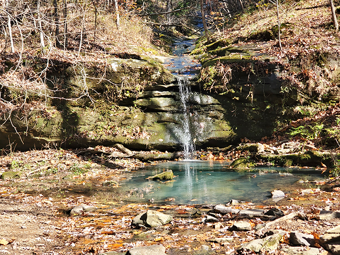 Small Waterfall: This charming little waterfall spills into a turquoise pool, surrounded by the crisp leaves and quiet beauty of late autumn.