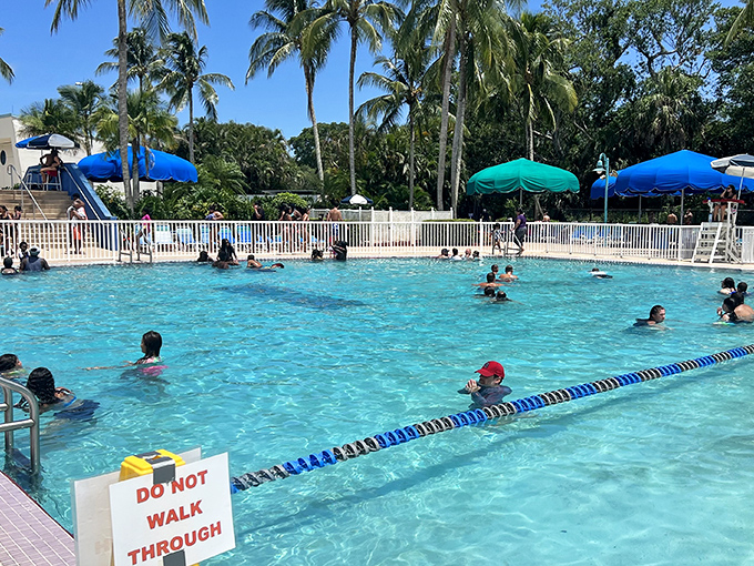 The main swimming pool offers refreshing blue waters where families cool off under the watchful eyes of attentive lifeguards.
