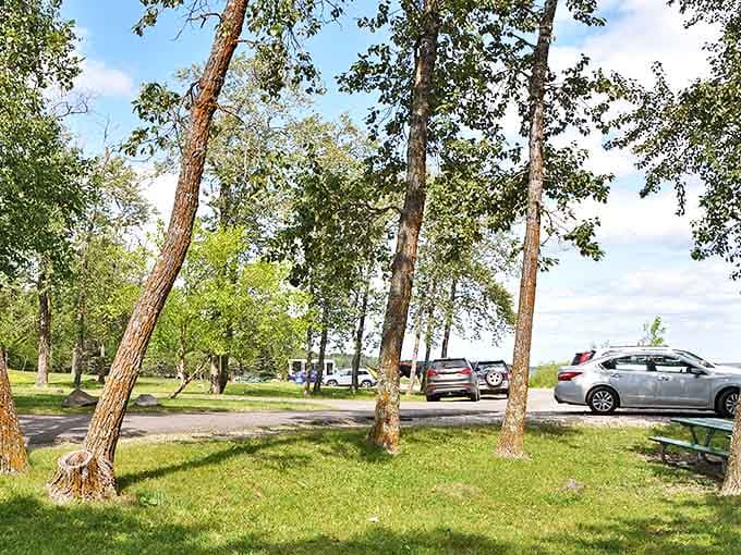 Towering pines frame the shoreline, their evergreen presence a constant through the dramatic seasonal changes of Minnesota's North Shore.