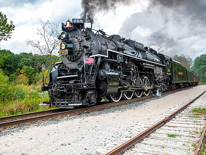 The historic steam locomotive powers through Cuyahoga Valley, trailing nostalgia and wonder in equal measure.