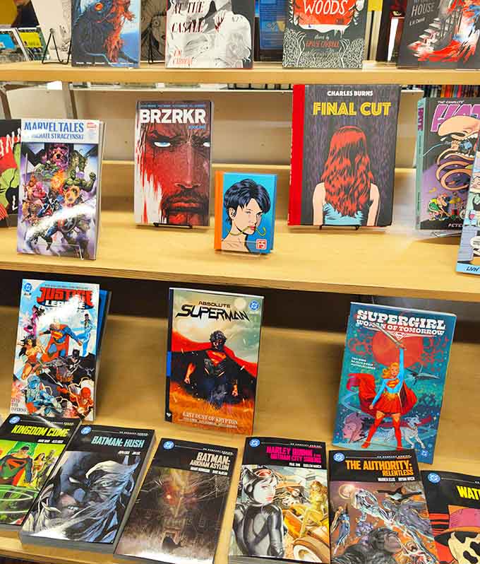 Comic books and graphic novels create a visual feast of illustrated storytelling, from caped crusaders to indie masterpieces.