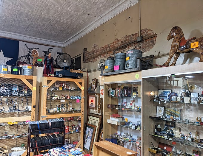 Every shelf offers a new discovery &ndash; from vintage glassware to collectible figurines, each item preserved from America's material past.