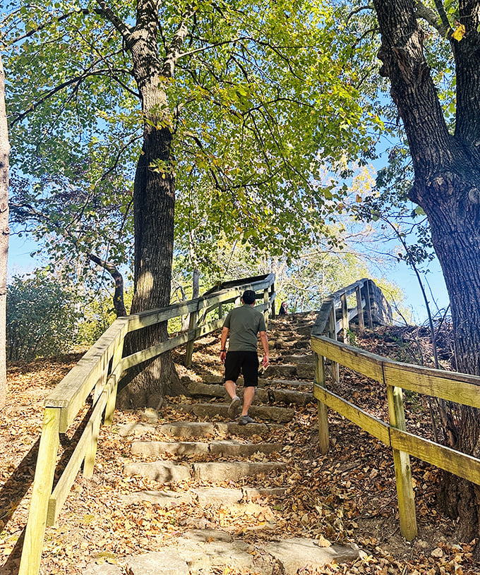 Every step upward brings new perspectives &ndash; these wooden stairs invite exploration while protecting the delicate hillside ecosystem.