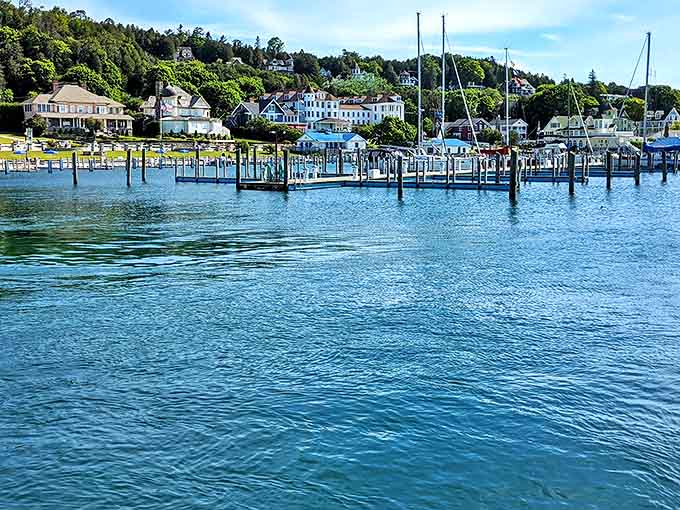 The waterfront marina hosts vessels from modest sailboats to impressive yachts, creating a bobbing neighborhood with the best views in town.