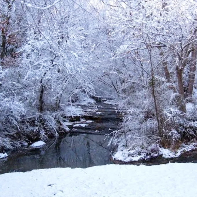 Winter transforms the creek into a hushed wonderland &ndash; snow-laden branches create a tunnel of white that feels like stepping into Narnia.