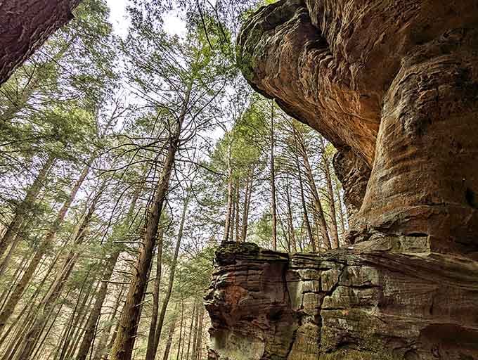 Sunlight plays hide-and-seek through towering pines and massive rock outcroppings, creating dramatic shadows that shift throughout the day.