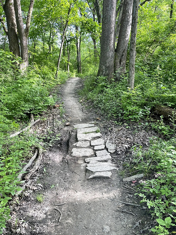 Stone steps thoughtfully placed by trail maintainers help hikers navigate steeper sections while preventing erosion on popular routes.