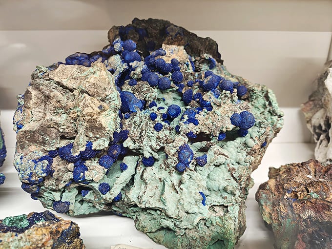 This azurite and malachite specimen showcases copper minerals' stunning blue-green combination, nature's color palette at its most dramatic and beautiful.