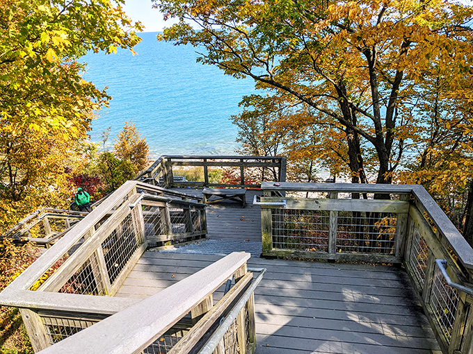 This lakeside observation deck offers breathtaking panoramic views of Lake Michigan's endless blue horizon through a frame of autumn foliage.