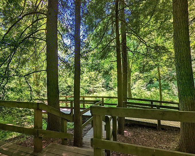 Wooden bridges connect trail sections, blending harmoniously with the forest while keeping hikers' feet dry.
