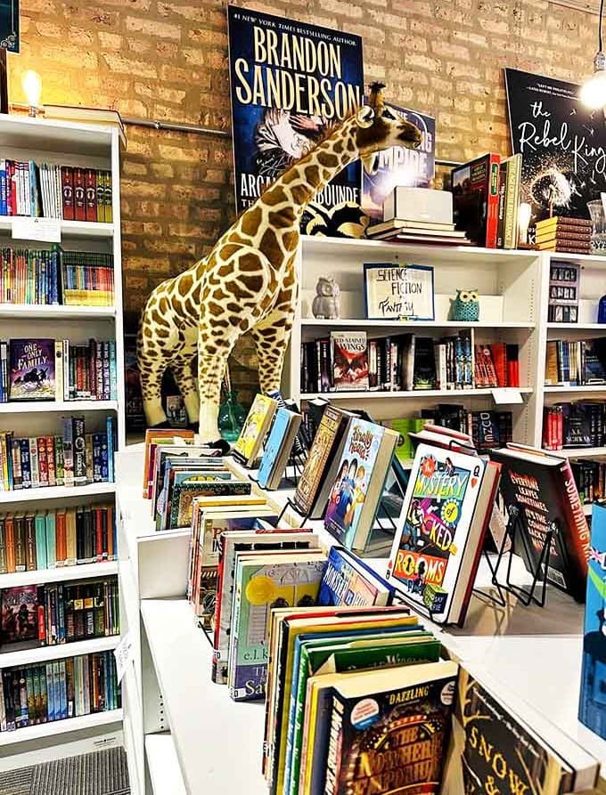 The children's section bursts with colorful possibilities, each spine promising adventures that might shape young minds for decades to come.