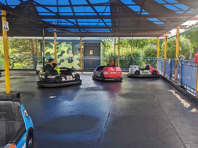 Bumper cars offer that rare socially acceptable opportunity to deliberately crash into strangers and family members with equal enthusiasm.