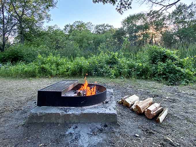 Primal television: Flames dance their hypnotic choreography as firewood transforms into memories and marshmallow-toasting opportunities.