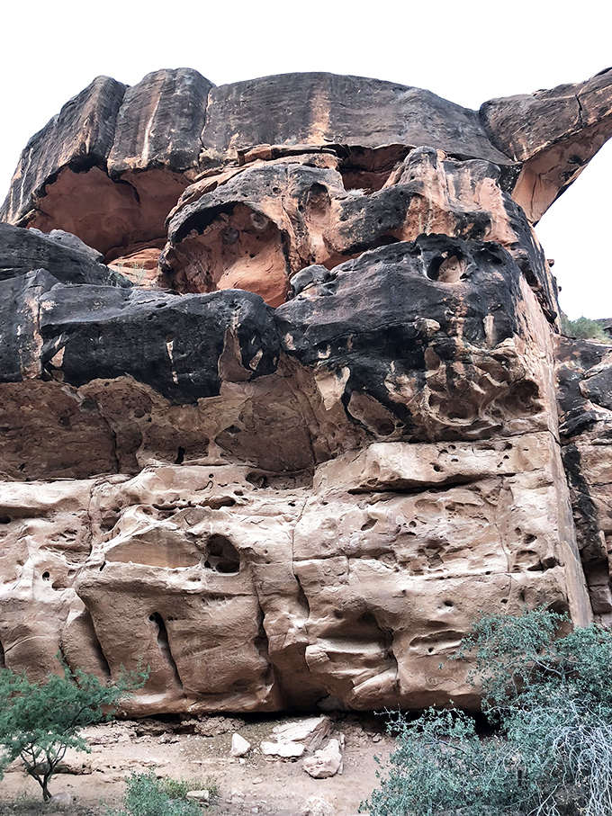 Nature's architecture: Centuries of water and wind have sculpted these remarkable formations, creating natural art galleries throughout the canyon.
