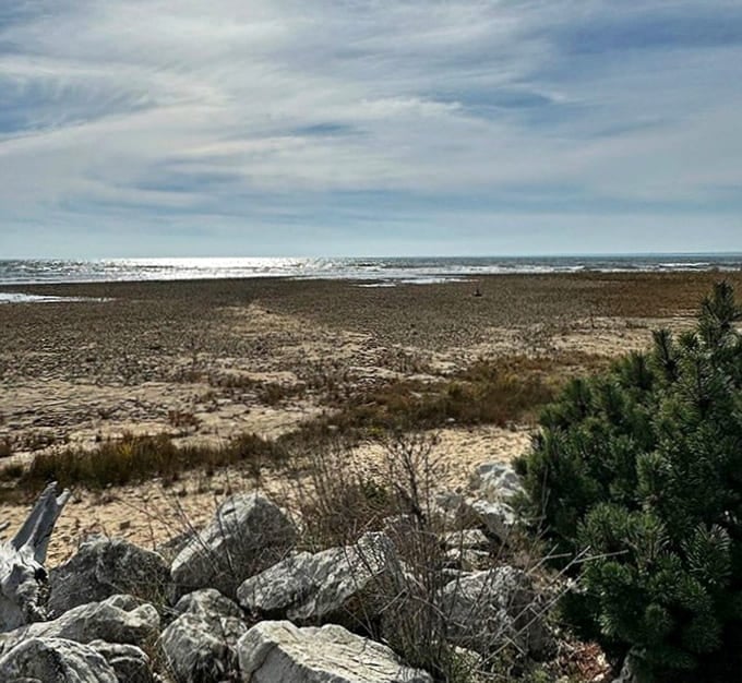Carl D. Bradley Lakeview Park offers front-row seats to Lake Michigan's mood swings, from glass-calm mornings to wave-crashing afternoons.