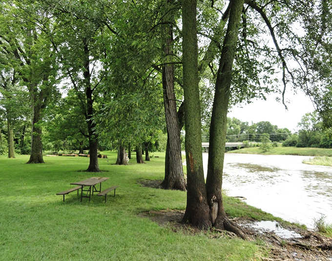 These picnic areas under towering trees turn ordinary sandwiches into gourmet experiences, because everything tastes better when eaten outdoors with a view.