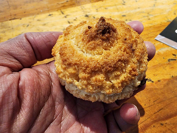 That coconut macaroon sits there looking innocent, but one bite reveals layers of flavor that'll make you question everything you thought you knew.