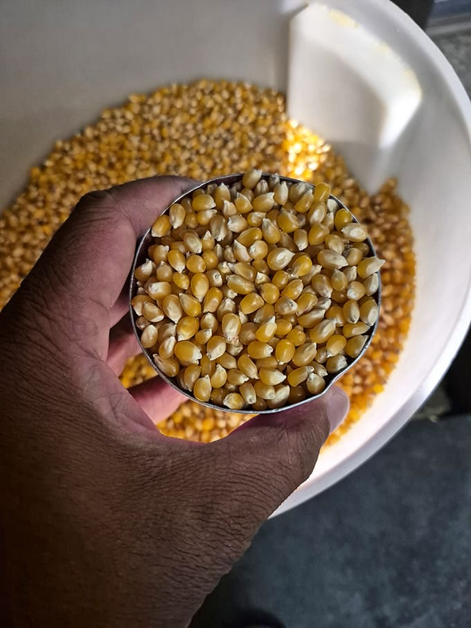 These golden kernels represent pure potential, waiting to be transformed into something magical through heat, oil, and someone who actually knows what they're doing.
