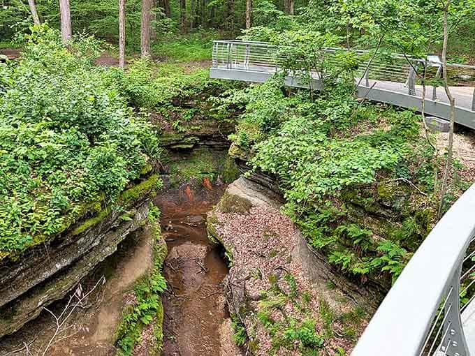 Engineering meets nature as this curved walkway provides breathtaking views of the forest ravine below, making difficult terrain accessible to all.