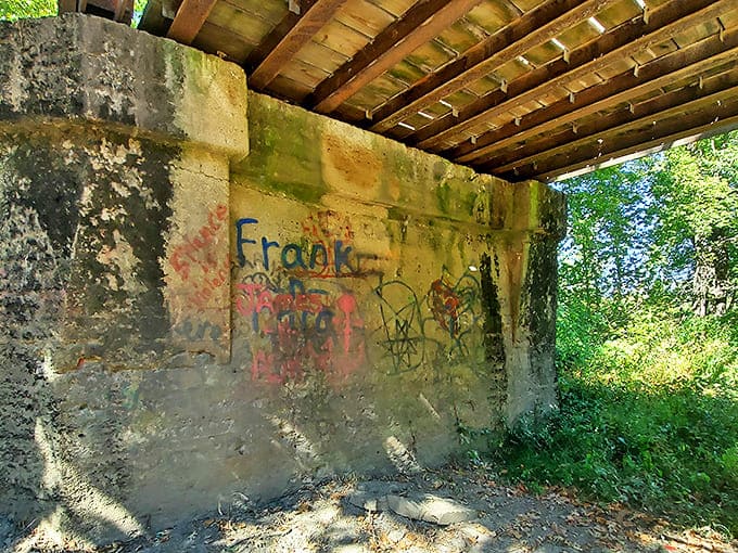 Graffiti marks the concrete supports, adding layers of human stories to the bridge's already complex history.