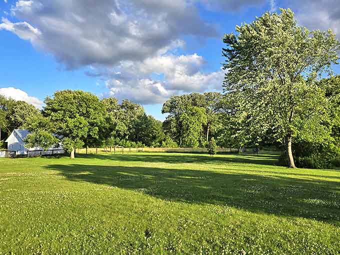 This pastoral scene could be mistaken for a painting, where the simple white farmhouse stands as a reminder of simpler times amid nature's embrace.