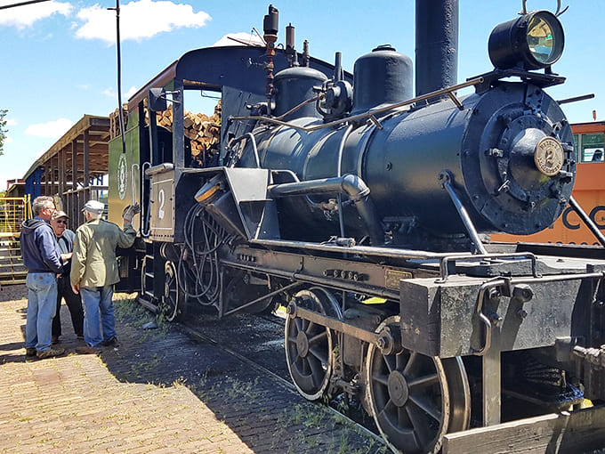 This Heisler steam locomotive represents specialized engineering designed for specific terrain, proving that one size never fits all when it comes to moving heavy loads up hills.