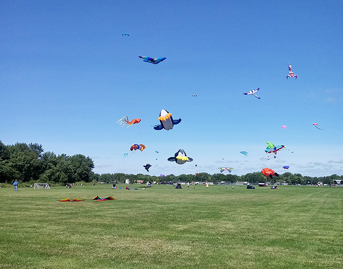 Kiwanis Park's whimsical kites dance against azure skies, creating a living kaleidoscope that reminds us all how simple joys often create the most lasting memories.