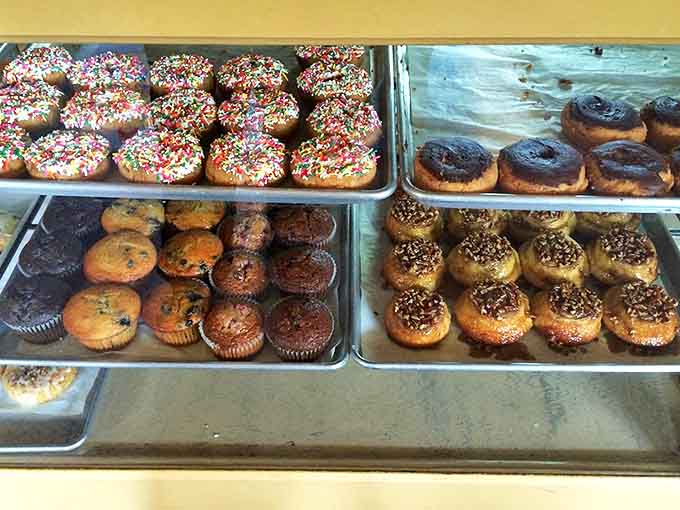 Donuts that'll make you do a double-take when someone tells you they're gluten-free.